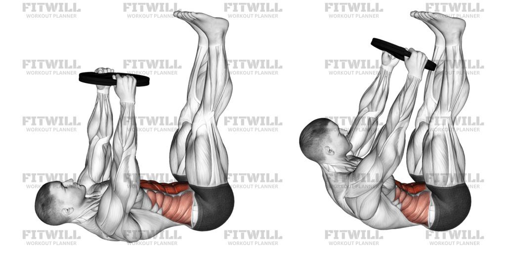 Weighted Straight Leg Toe Touch Crunch: Exercise Guide, Techniques ...