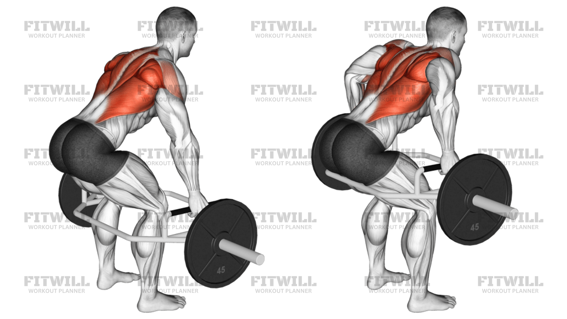 Trap Bar Bent Over Row: Exercise Guide, Video, Techniques, Benefits ...