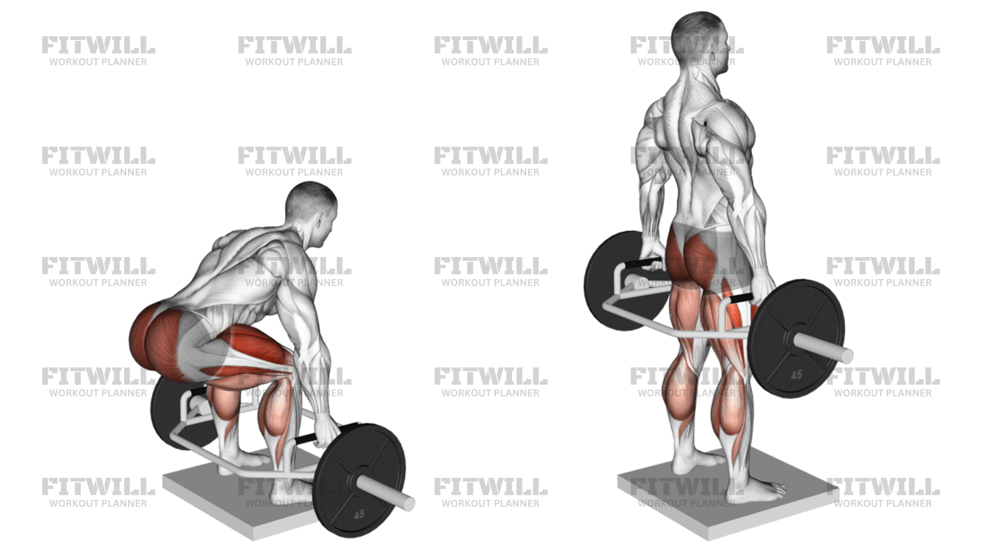 Trap Bar Deadlift From Deficit: Exercise Guide, Techniques, Benefits, How to, Muscles Worked ...