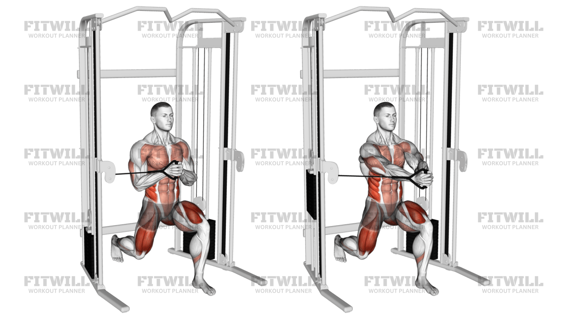Cable Split Stance Horizontal Pallof Press: Exercise Guide, Techniques ...