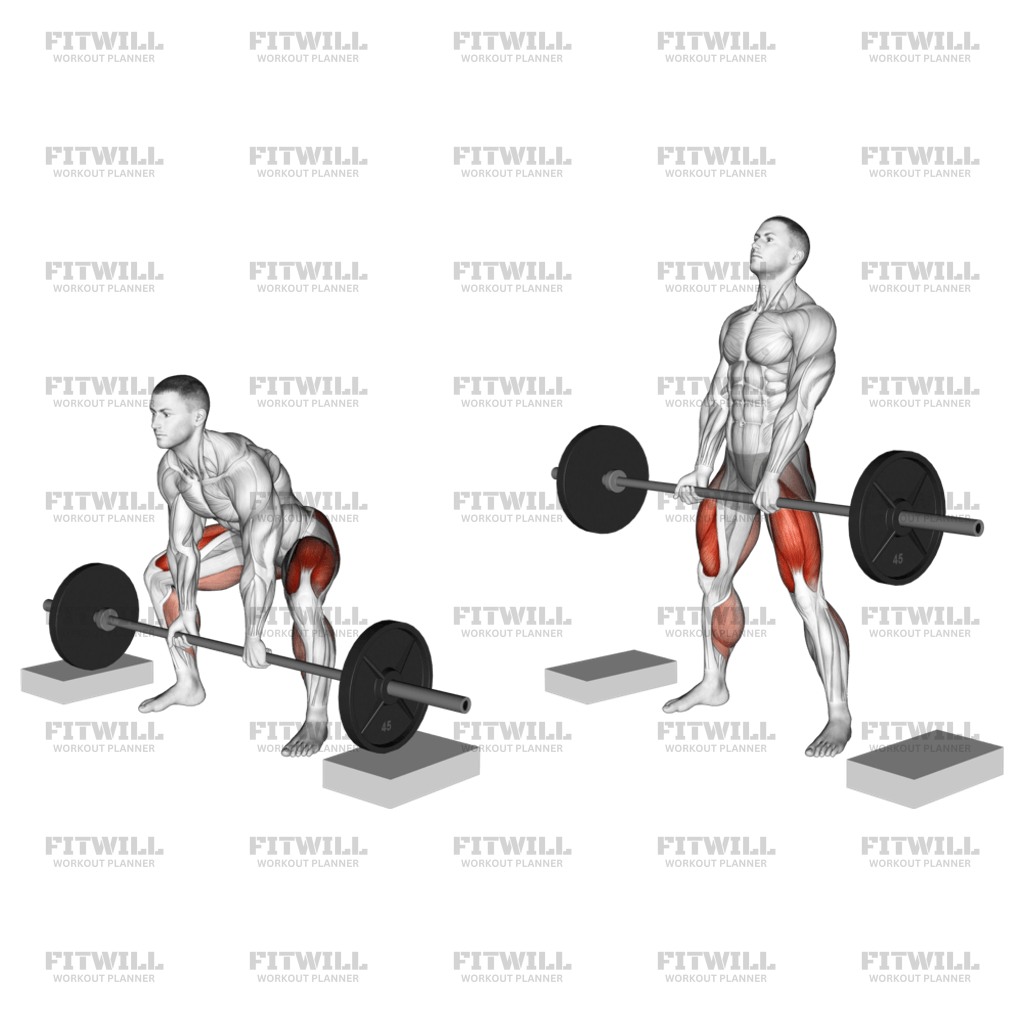 Barbell Sumo Deadlift From Blocks: Exercise Guide, Techniques, Benefits ...