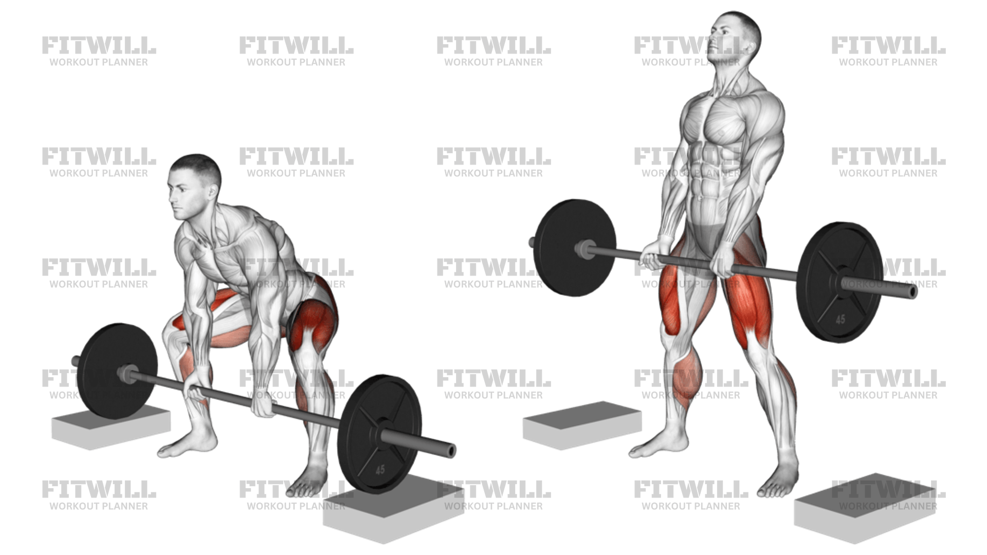 Barbell Sumo Deadlift From Blocks: Exercise Guide, Techniques, Benefits ...