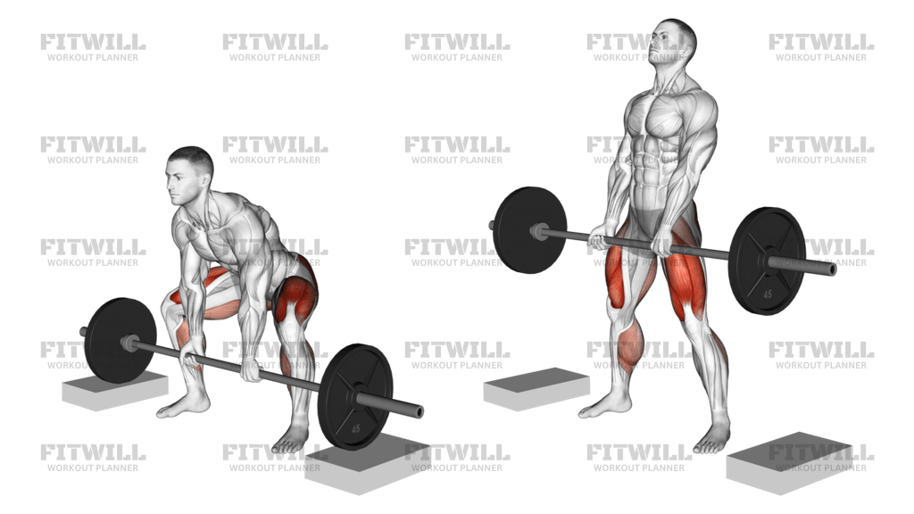 Barbell Sumo Deadlift From Blocks: Exercise Guide, Techniques, Benefits ...