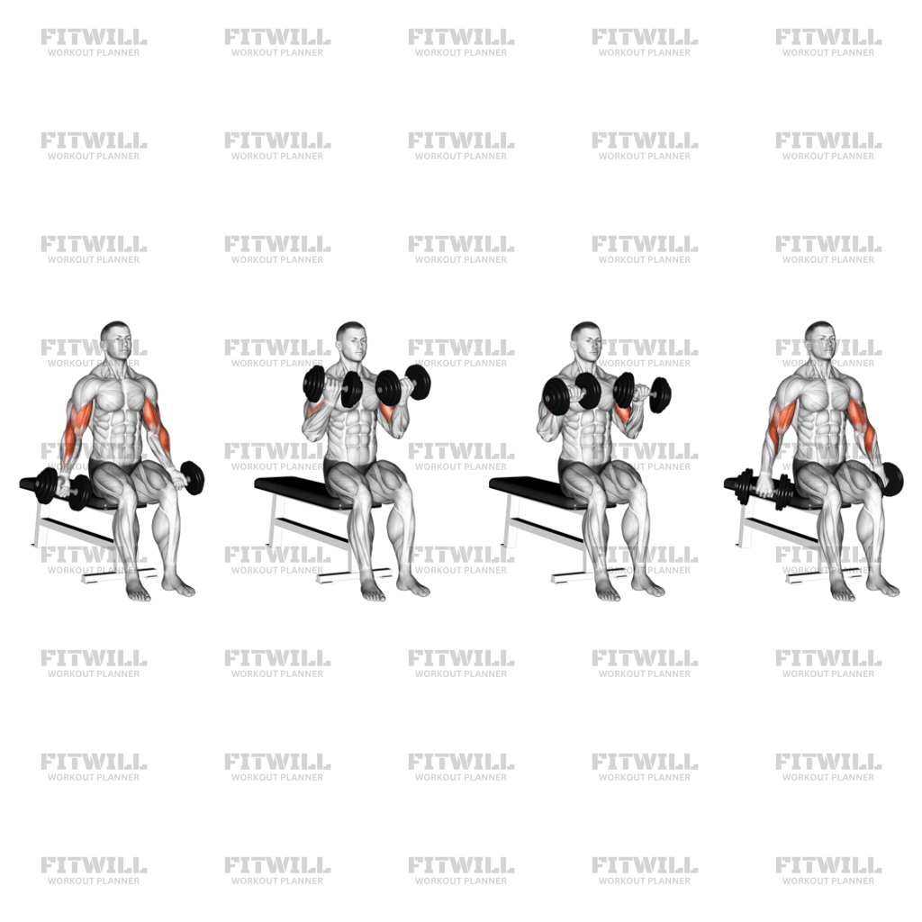 Dumbbell Seated Zottman Curl: Exercise Guide, Techniques, Benefits, How ...