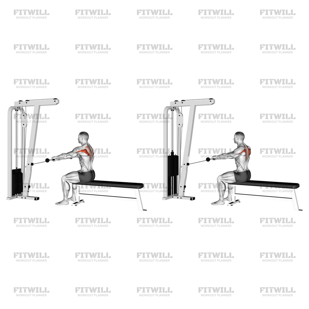 Cable Seated Horizontal Shrug: Exercise Guide, Techniques, Benefits ...