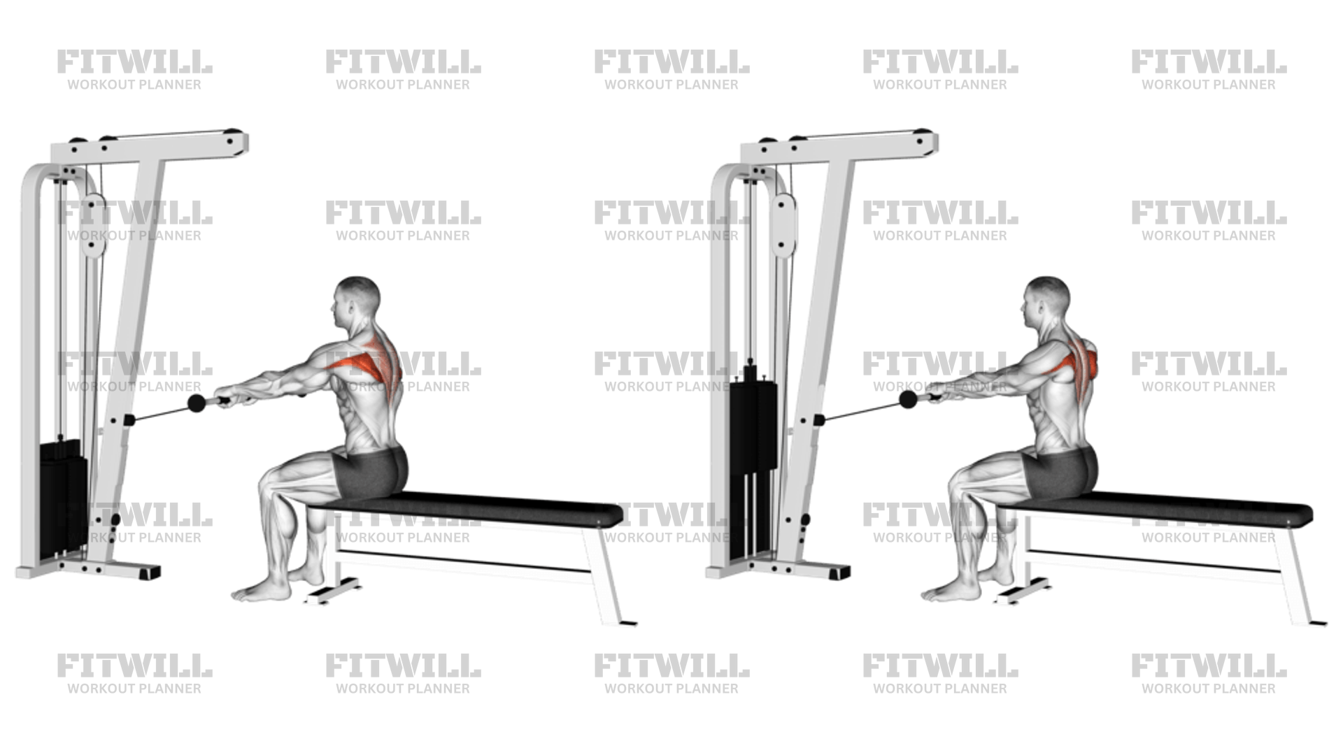 Cable Seated Horizontal Shrug: Exercise Guide, Techniques, Benefits ...