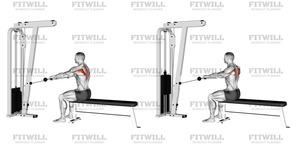 Cable Seated Horizontal Shrug: Exercise Guide, Techniques, Benefits ...