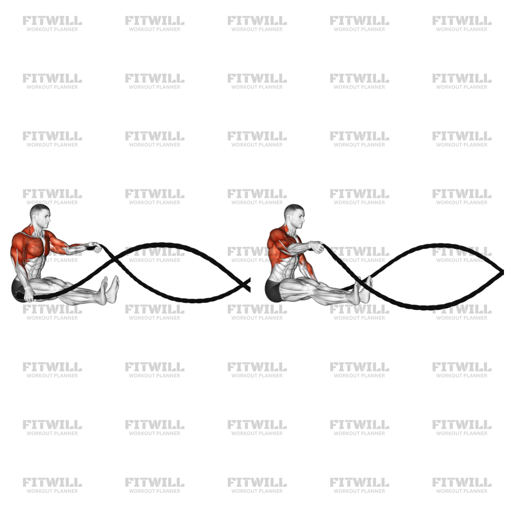 Battling Ropes Seated: Exercise Guide, Video, Techniques, Benefits, How ...