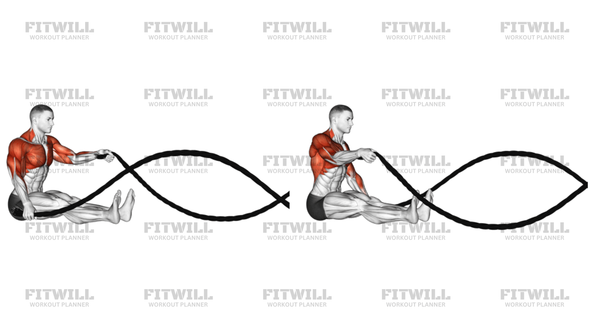 Battling Ropes Seated: Exercise Guide, Video, Techniques, Benefits, How ...