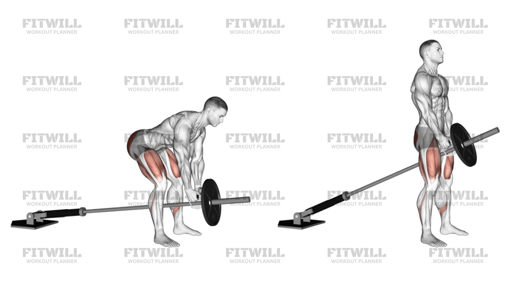 Landmine Romanian Deadlift: Exercise Guide, Video, Techniques, Benefits ...