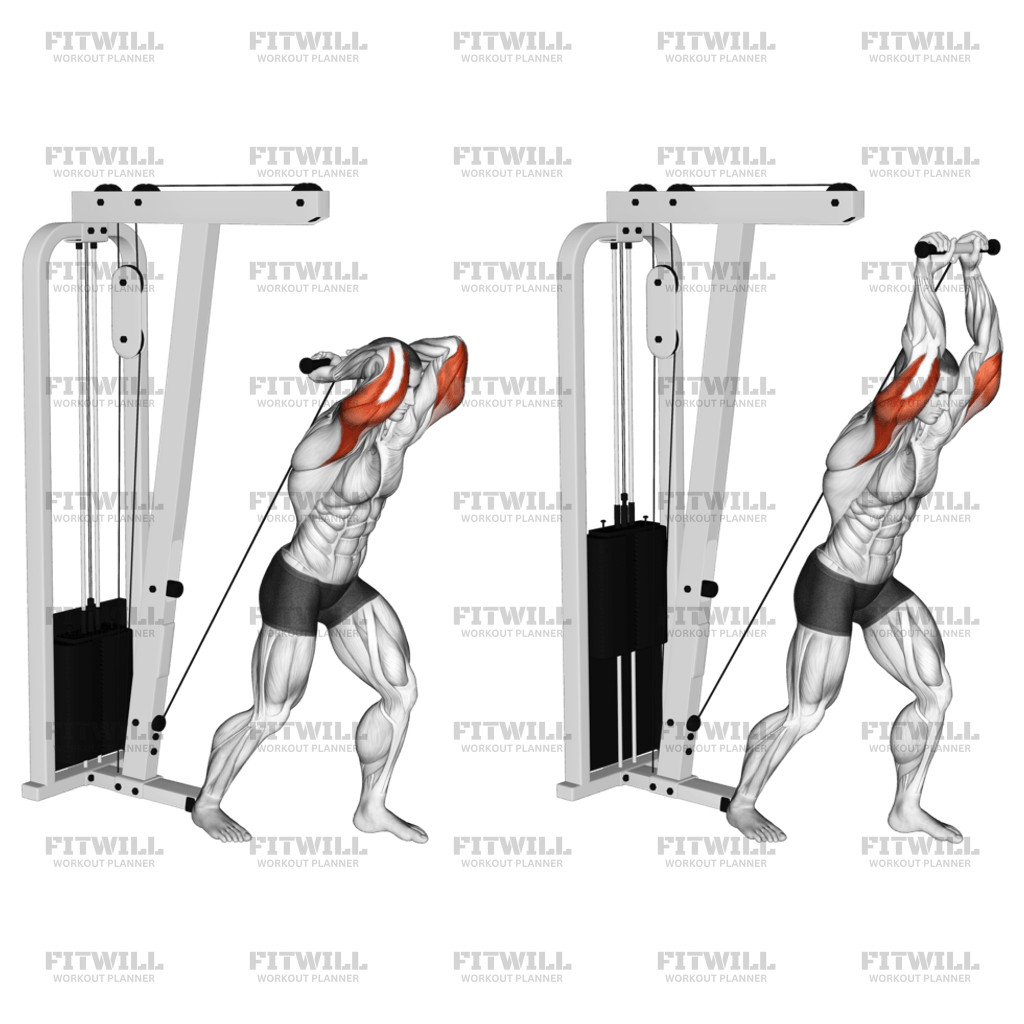 Cable Overhead Tricep Extension StraighT-bar: Exercise Guide, Video ...