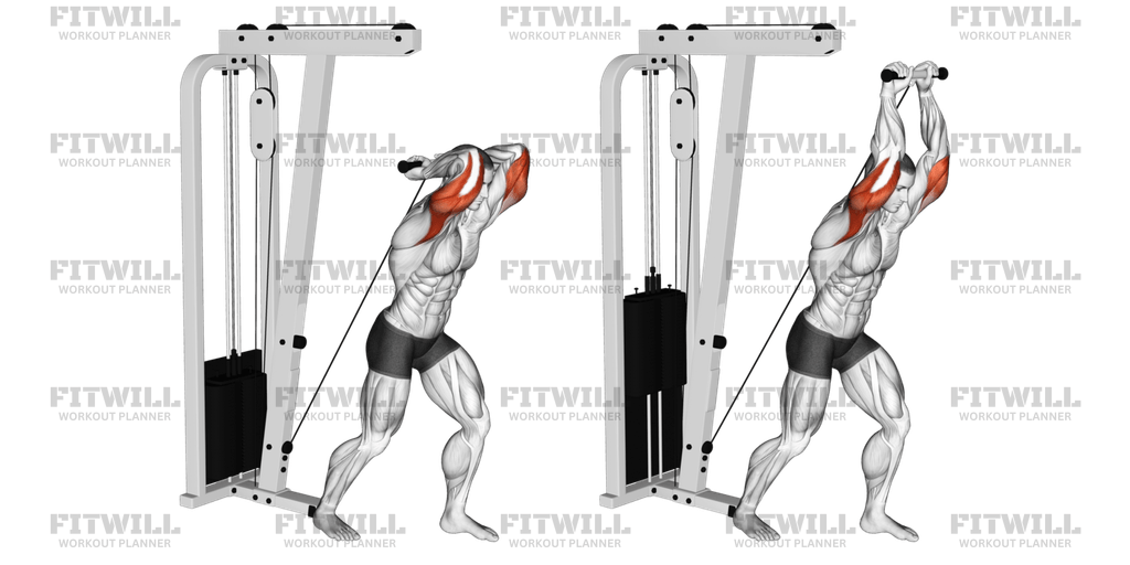 Cable Overhead Tricep Extension StraighT-bar: Exercise Guide, Video ...