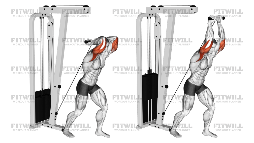 Cable Overhead Tricep Extension StraighT-bar: Exercise Guide, Video ...