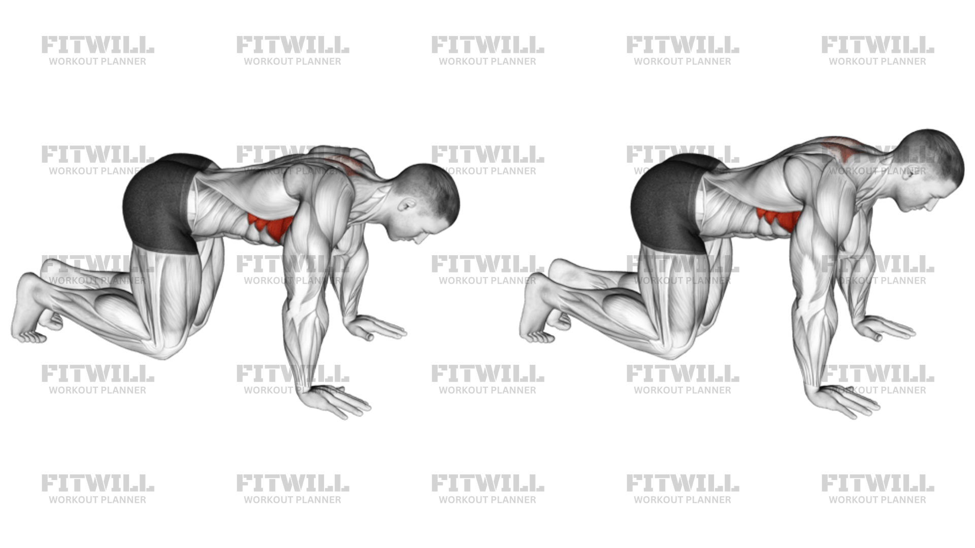 Kneeling Scapular Push-Up: Exercise Guide, Techniques, Benefits, How to ...