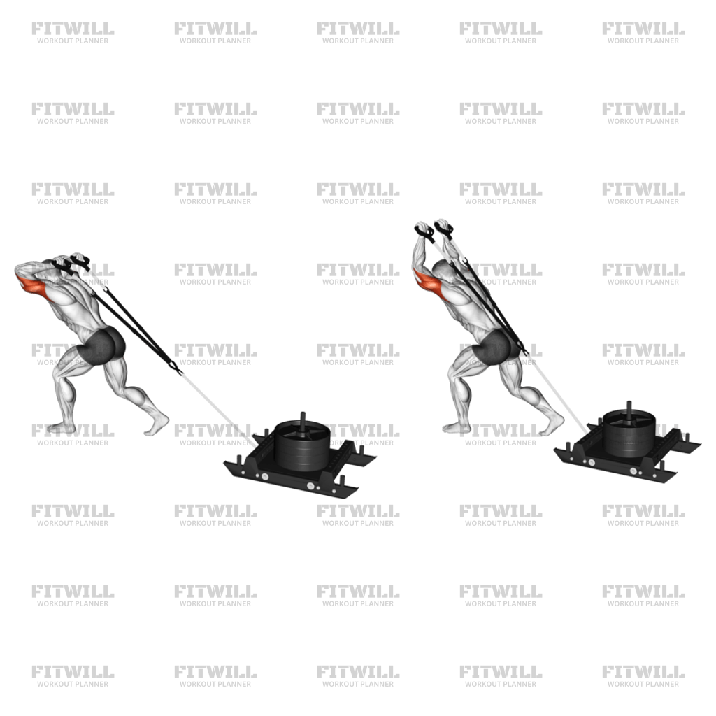 Power Sled Triceps Extension: Exercise Guide, Techniques, Benefits, How ...