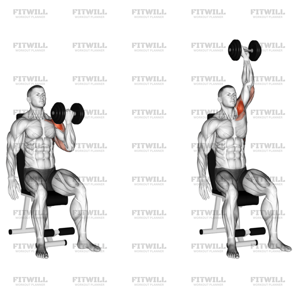 Dumbbell Seated One-Arm Arnold Press: Exercise Guide, Techniques ...