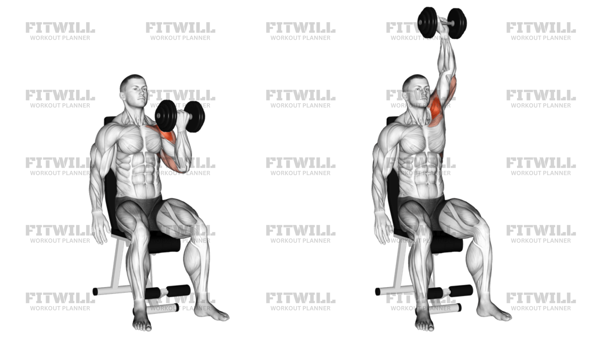 Dumbbell Seated One Arm Arnold Press: Exercise Guide, Techniques ...