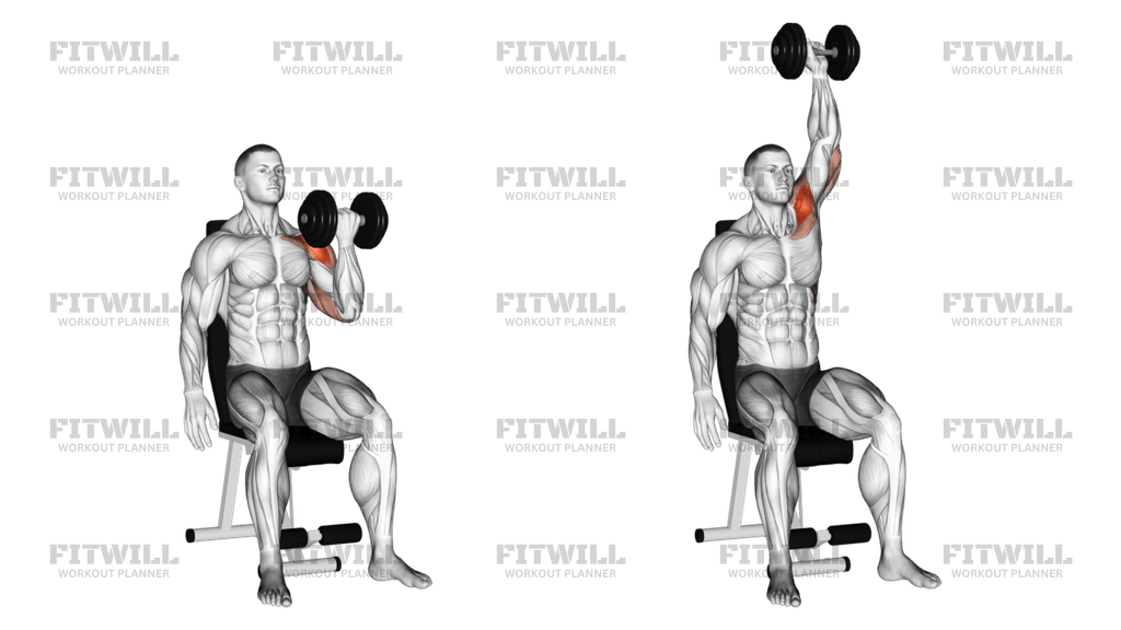 Dumbbell Seated One-Arm Arnold Press: Exercise Guide, Techniques ...
