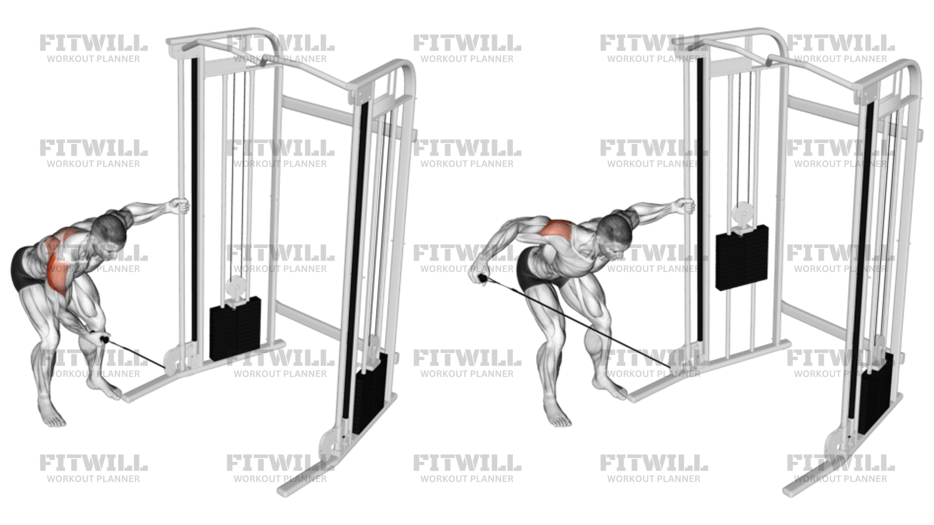 Cable One Arm Reverse Fly: Exercise Guide, Video, Techniques, Benefits ...