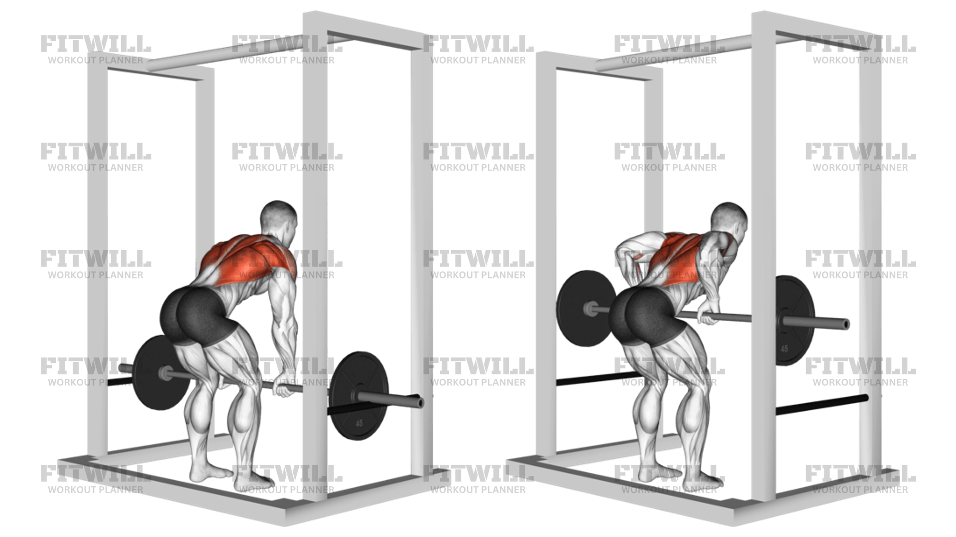 Barbell Deadstop Row With Rack: Exercise Guide, Techniques, Benefits ...