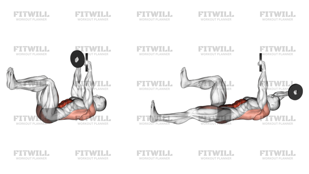 Weighted Dead Bug: Exercise Guide, Techniques, Benefits, How to ...