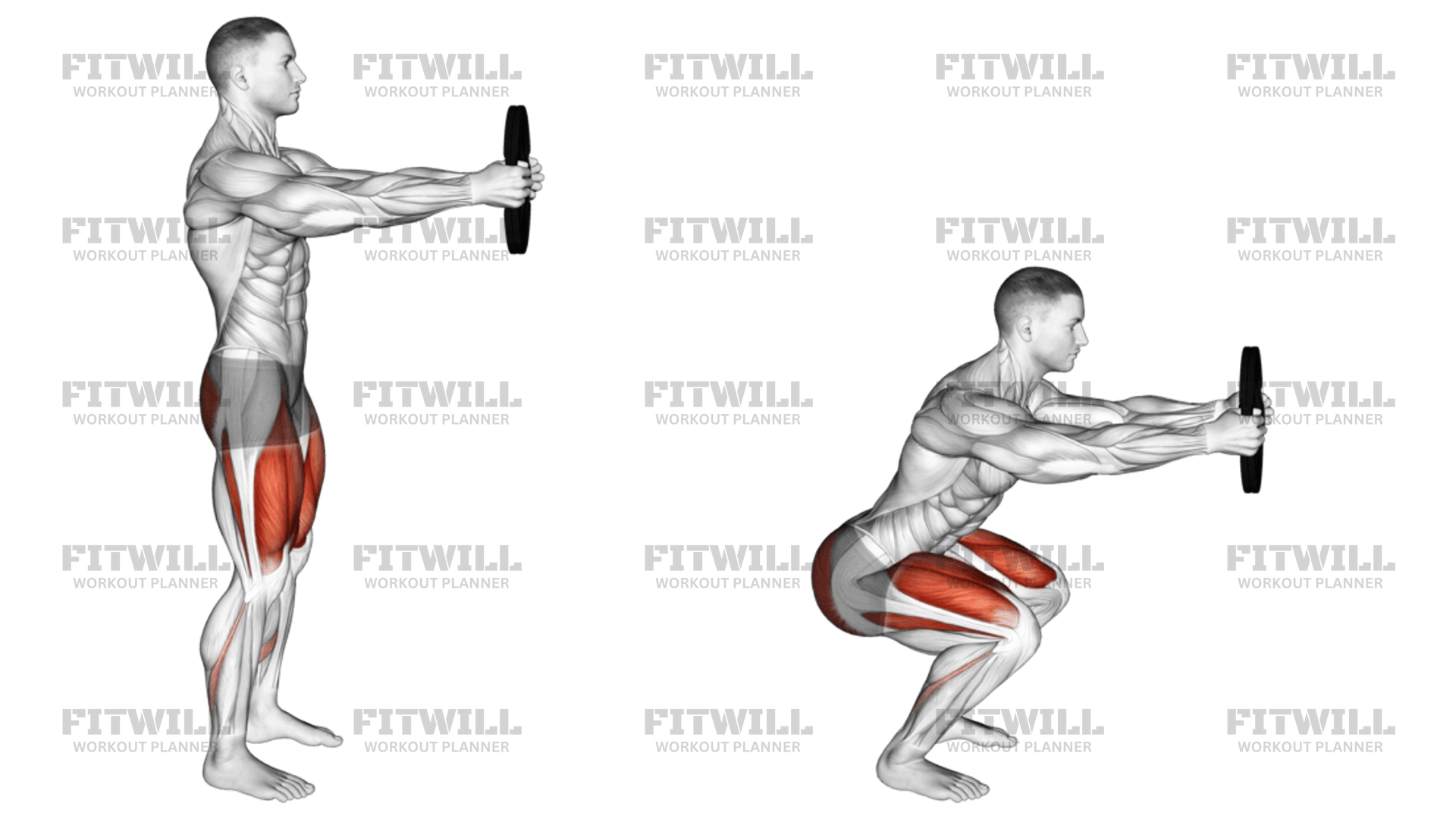 Weighted Counterbalanced Squat: Exercise Guide, Video, Techniques ...