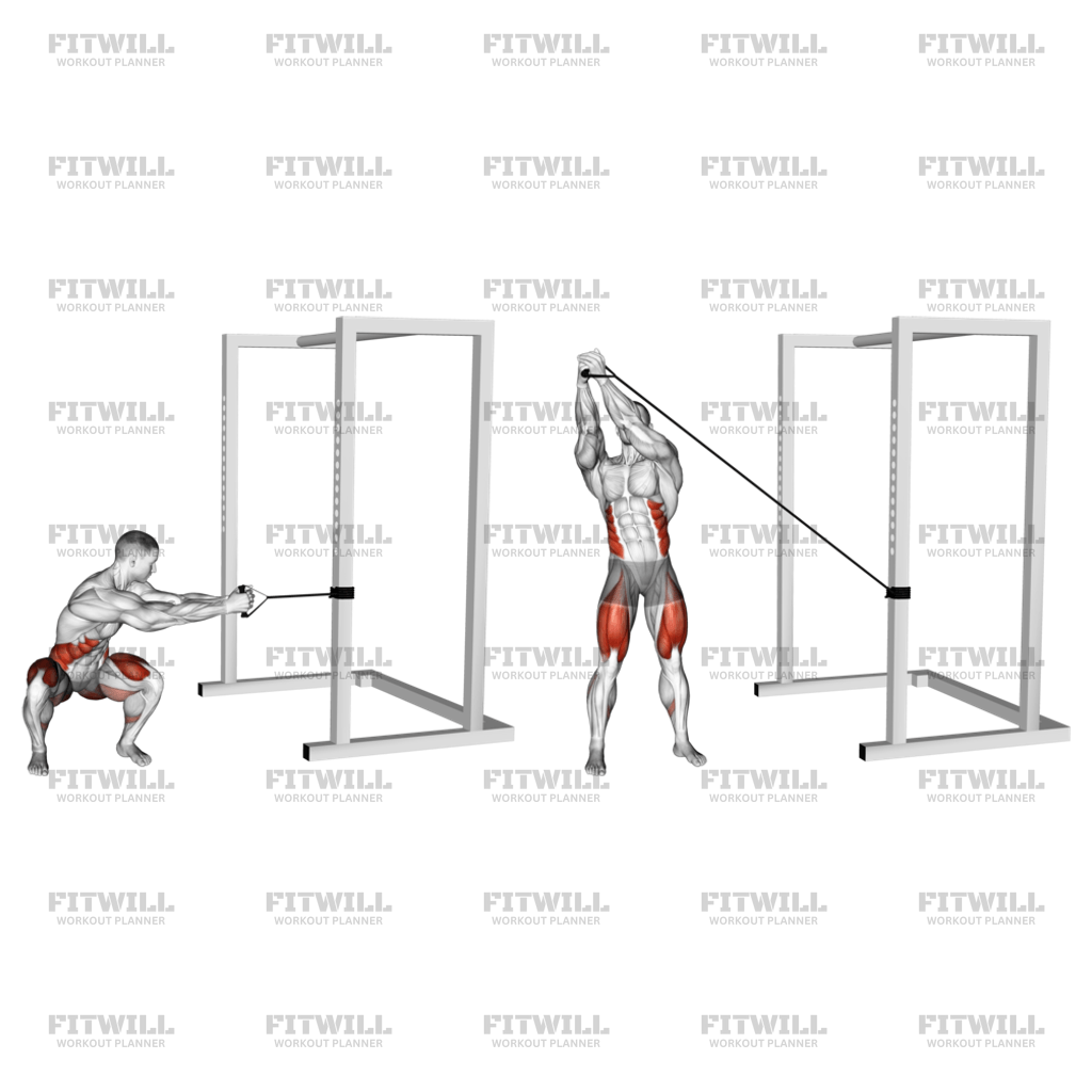 Band Squat Twist: Exercise Guide, Video, Techniques, Benefits, How to ...