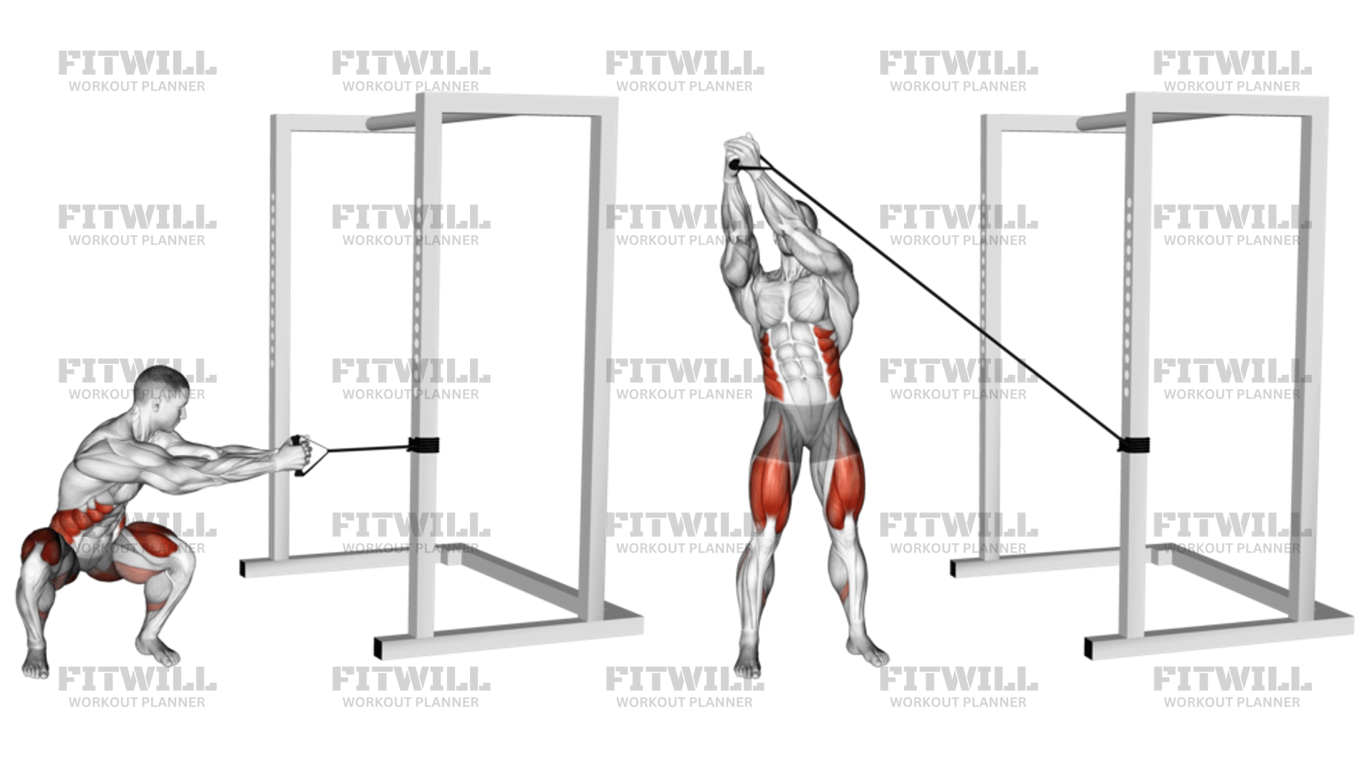 Band Squat Twist: Exercise Guide, Video, Techniques, Benefits, How to ...