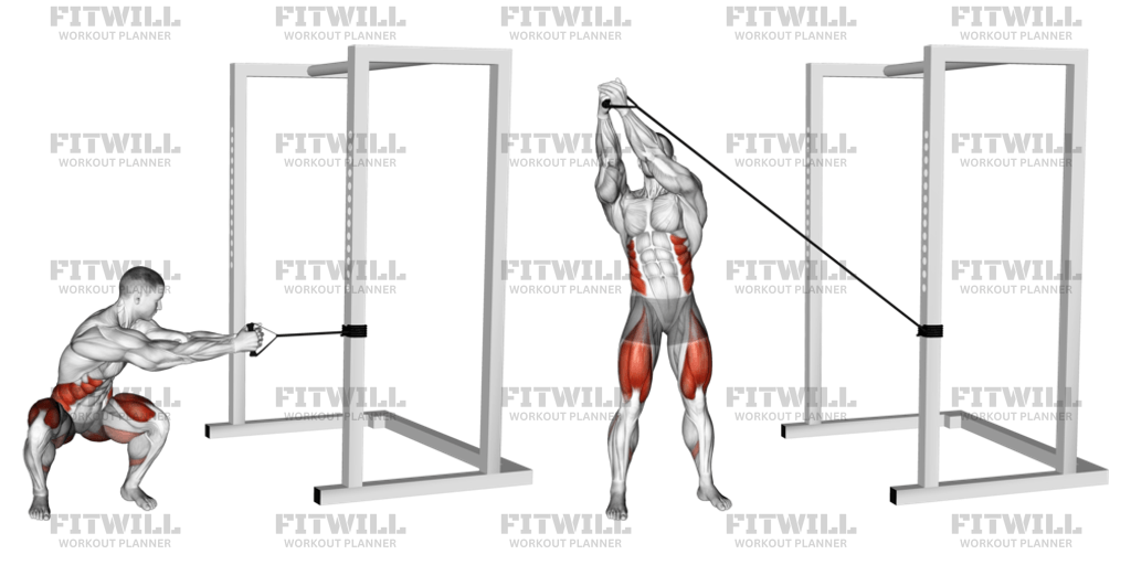 Band Squat Twist: Exercise Guide, Video, Techniques, Benefits, How to ...