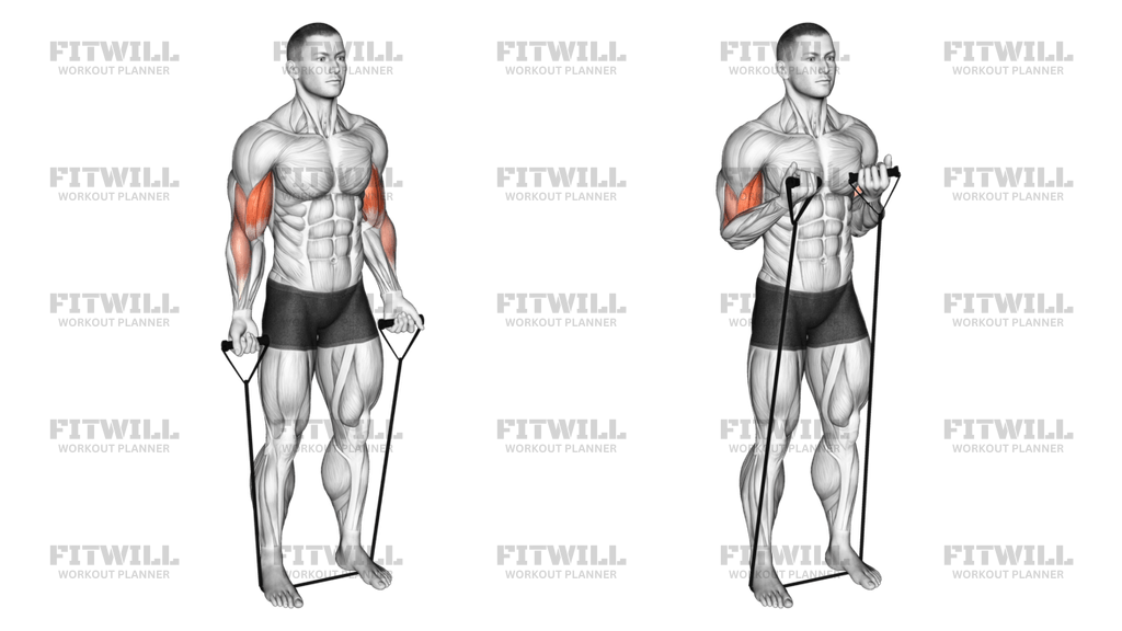 Maximize Arm Strength: Resistance Band Biceps and Triceps Workout ...