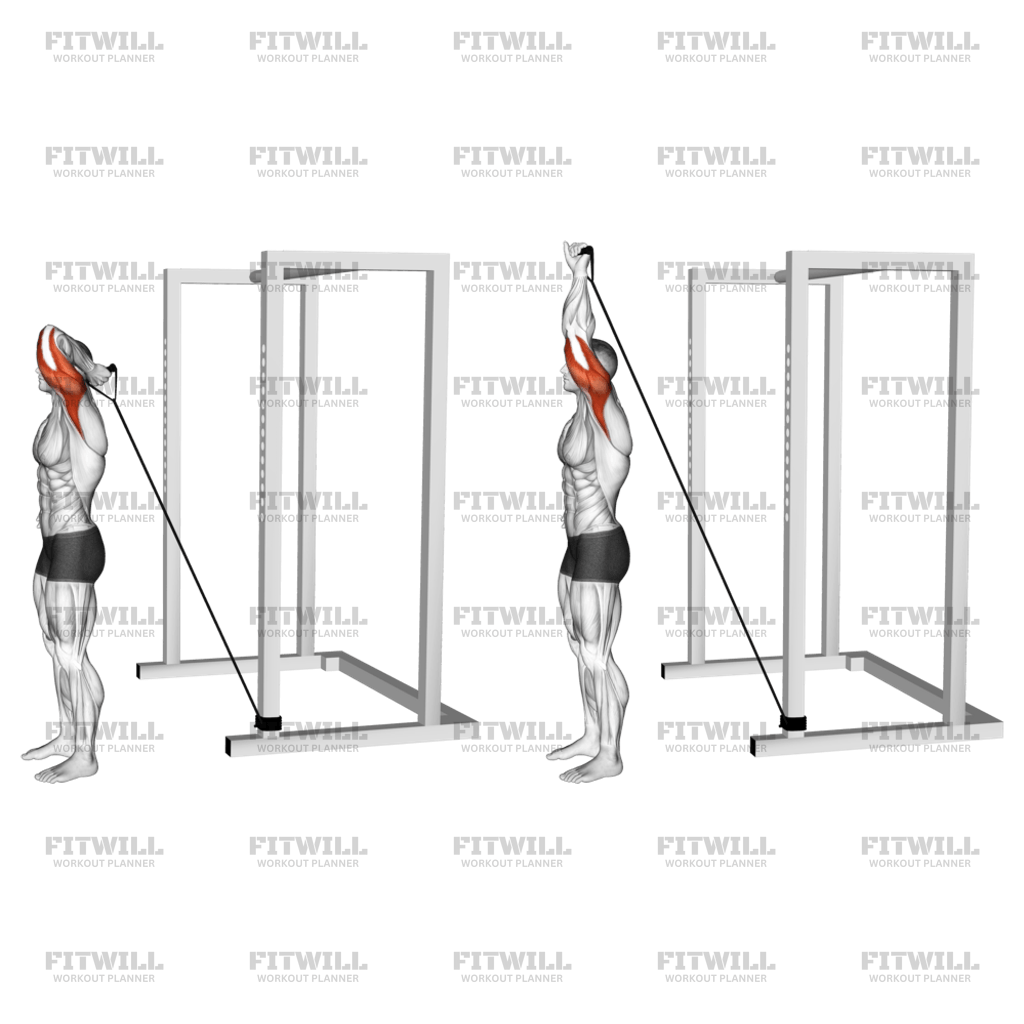Band Overhead Single Arm Triceps Extension: Exercise Video | Fitwill