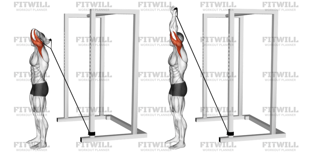 Band Overhead Single Arm Triceps Extension: Exercise Video | Fitwill