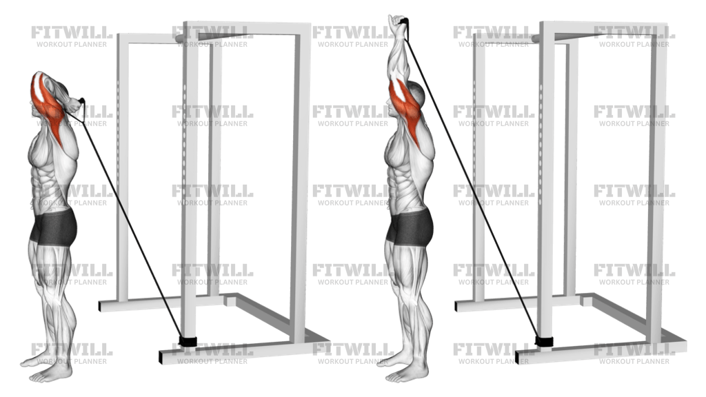 Band Overhead Single Arm Triceps Extension: Exercise Video | Fitwill