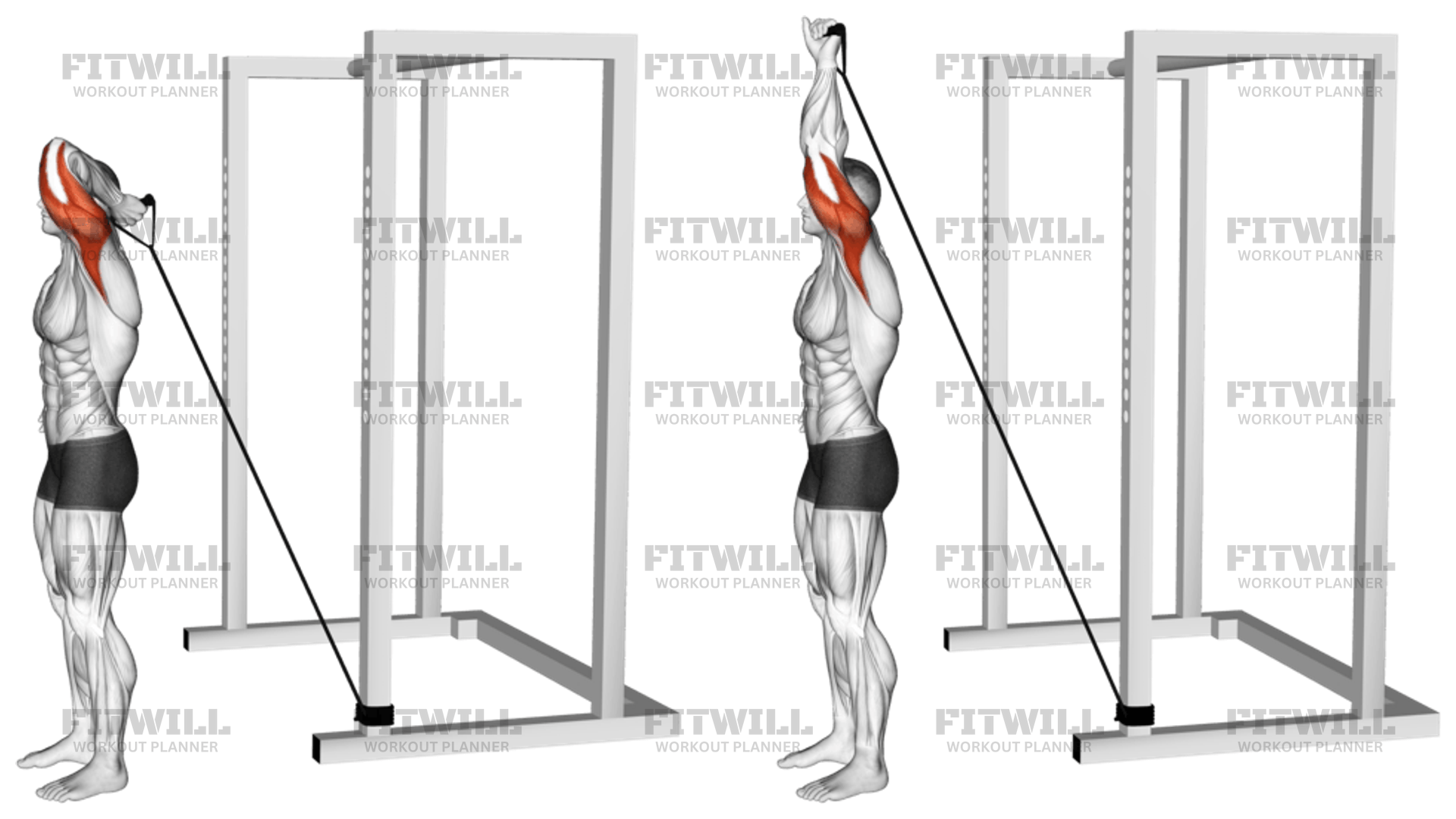 Band Overhead Single Arm Triceps Extension: Exercise Video | Fitwill Band Overhead Single Arm Triceps Extension: Exercise Video | Fitwill