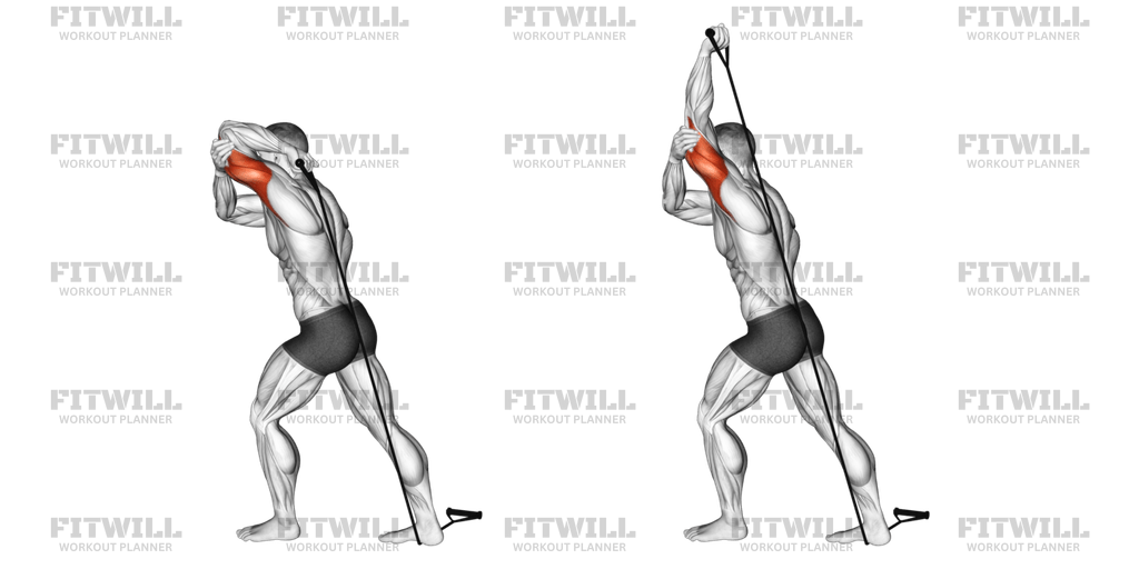 Band Overhead Single Arm Triceps Extension: Exercise Guide, Video ...