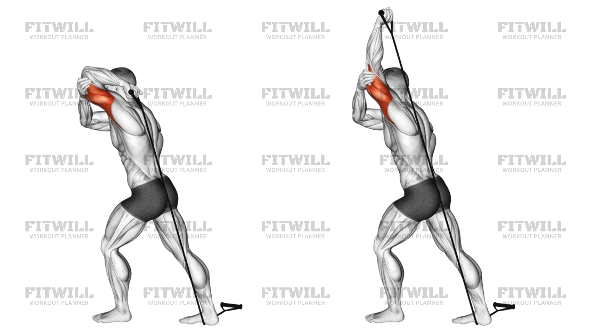 Band Overhead Single Arm Triceps Extension: Exercise Guide, Video ... Band Overhead Single Arm Triceps Extension: Exercise Guide, Video ...