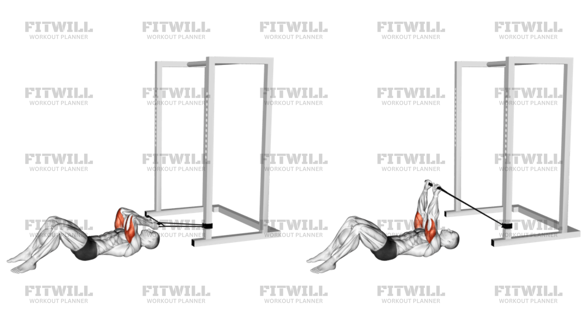 Band Lying Reverse Grip Pressdown: Exercise Video | Fitwill