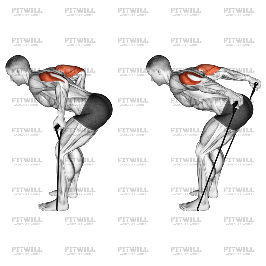 Band Triceps Kickback: Exercise Guide, Video, Techniques, Benefits, How ...