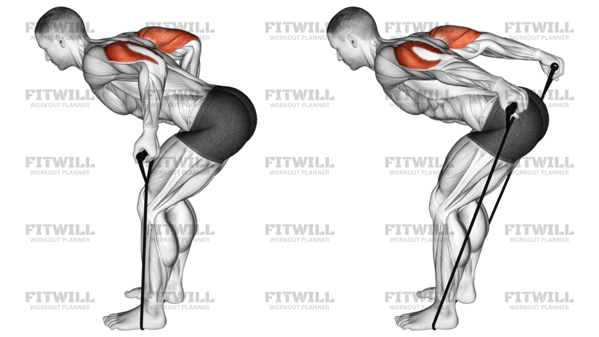 Patada De Tríceps Con Banda: Guía de Ejercicios, Video, Técnicas ...