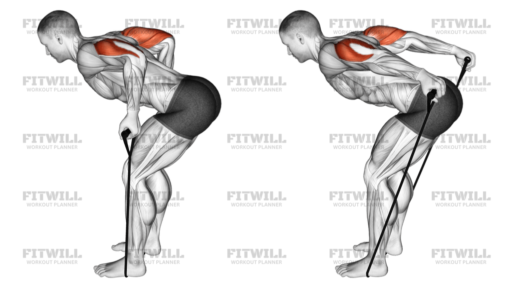 Band Triceps Kickback: Exercise Guide, Video, Techniques, Benefits, How ...