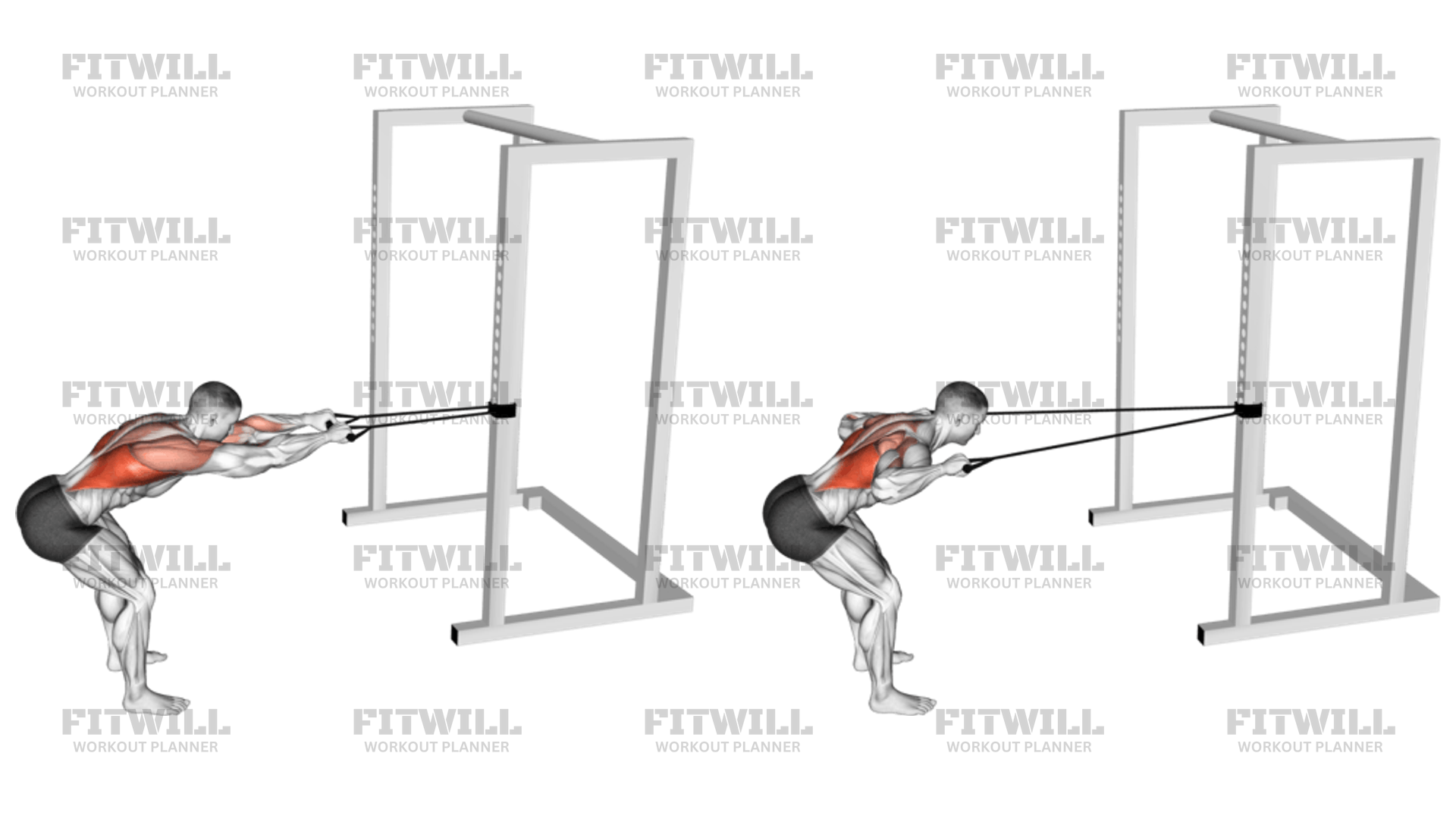 Band Bent Over Lat Pulldown: Exercise Guide, Video, Techniques ...