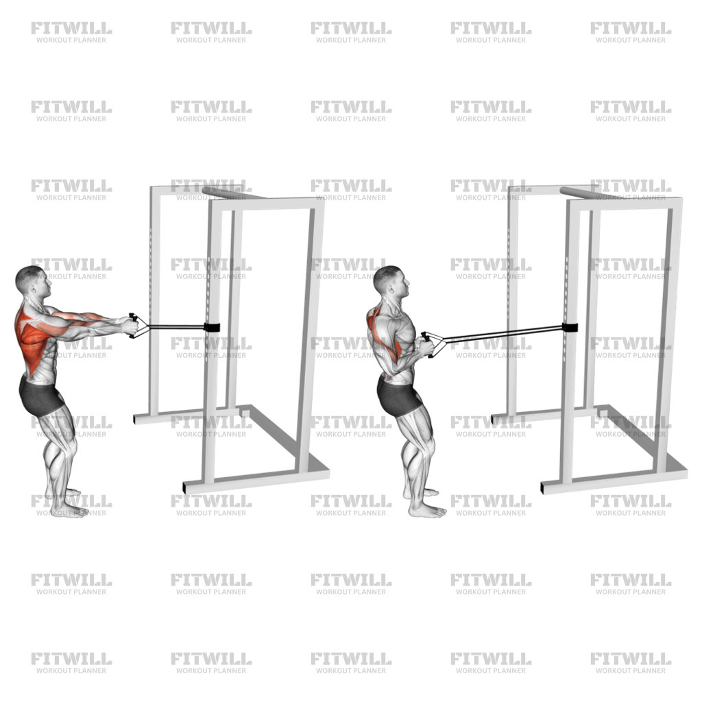 Band Close Grip Row: Exercise Guide, Video, Techniques, Benefits, How ...