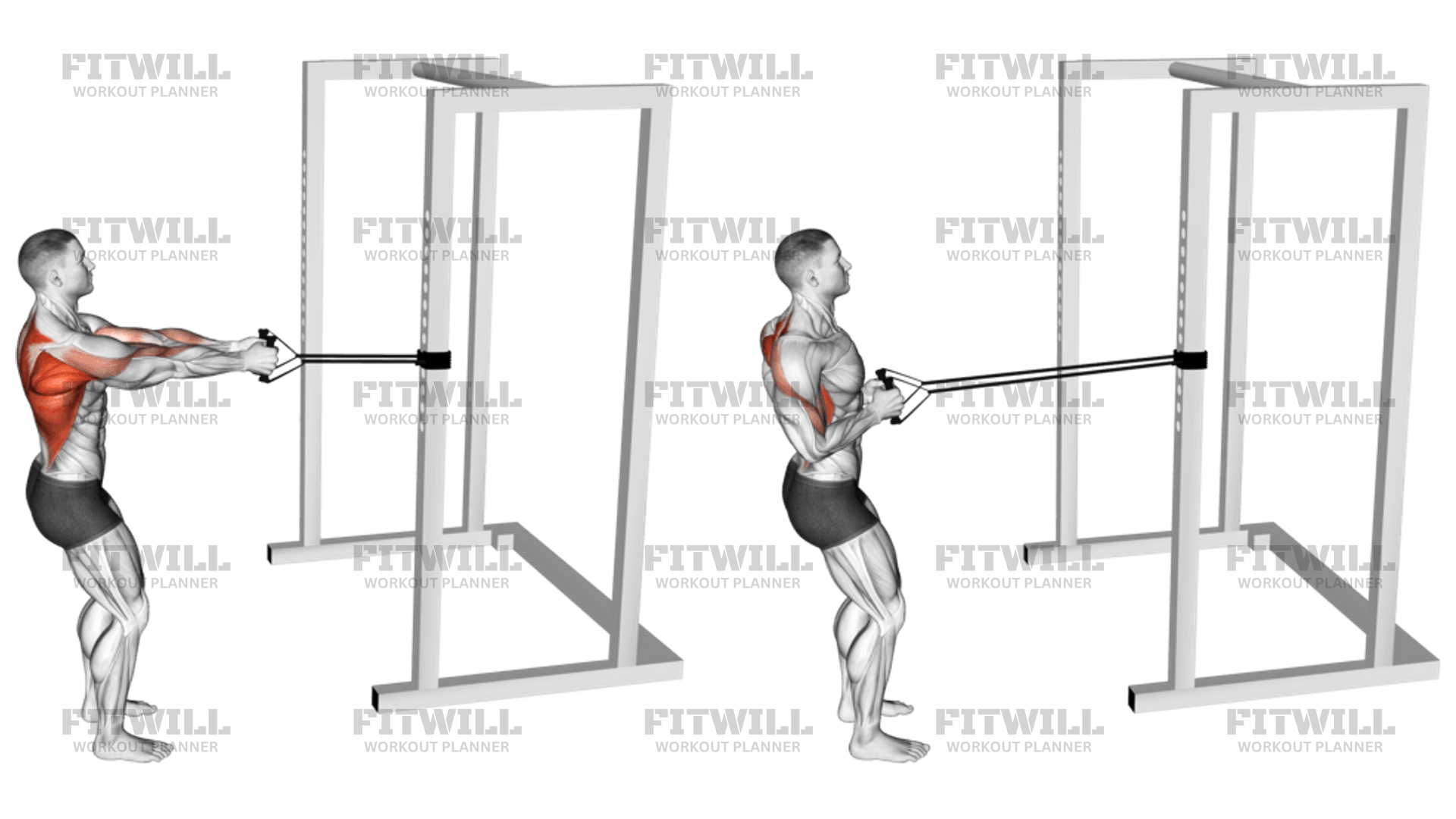Band Close Grip Row: Exercise Guide, Video, Techniques, Benefits, How ...
