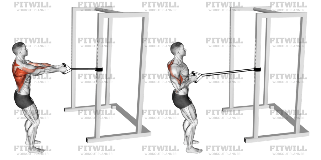 Band Close-Grip Row: Exercise Guide, Video, Techniques, Benefits, How ...