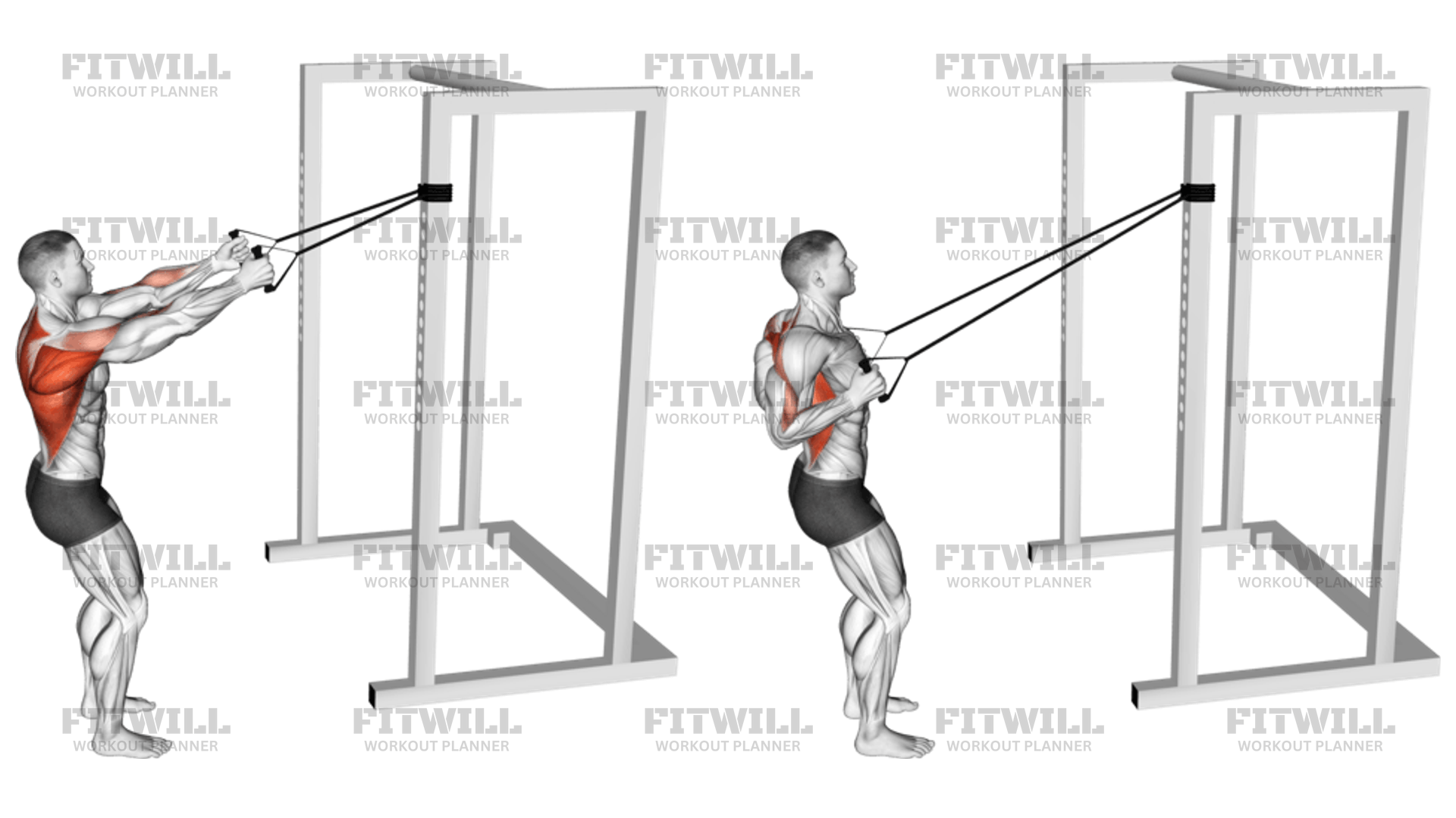 Band Narrow Grip High Row: Exercise Guide, Video, Techniques, Benefits ...