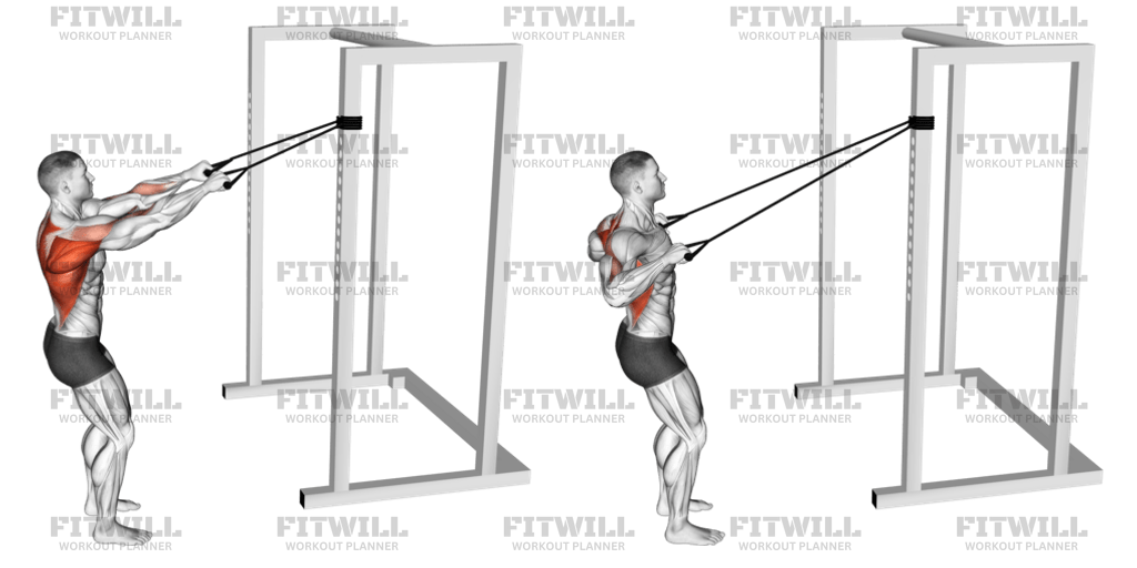 Band Narrow-Grip High Row Version 2: Exercise Guide, Video, Techniques ...