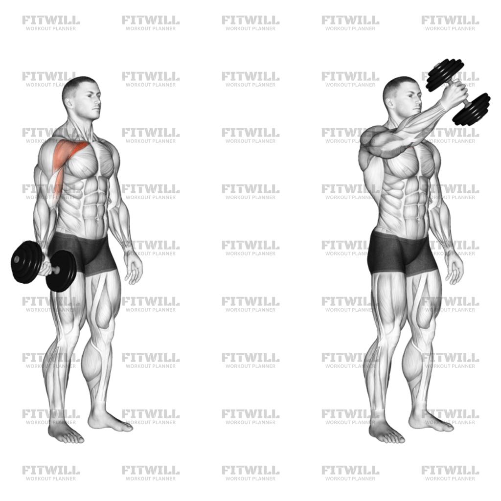 Dumbbell One Arm Low Fly (R): Exercise Guide, Video, Techniques ...