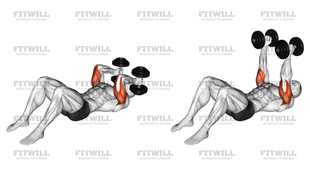 Dumbbell Lying Floor Skull Crusher: Exercise Guide, Video, Techniques ... Dumbbell Lying Floor Skull Crusher: Exercise Guide, Video, Techniques ...