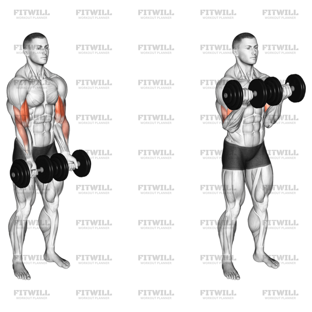 Dumbbell Close Grip Curl: Exercise Guide, Video, Techniques, Benefits ...