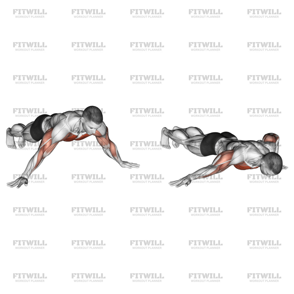 Flexão Arqueiro De Um Lado: Guia de Exercícios, Vídeo, Técnicas ...